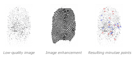 Fingerprint Technology | Innovatrics