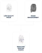 Fingerprint Technology - Innovatrics - How it Works