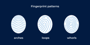 Fingerprint Identification - Definition, FAQs - Innovatrics