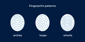 Fingerprint Identification - Definition, FAQs - Innovatrics