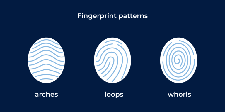 Fingerprint Identification - Definition, FAQs - Innovatrics