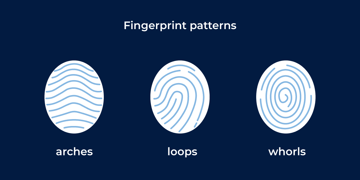 Fingerprint Identification - Definition, FAQs - Innovatrics