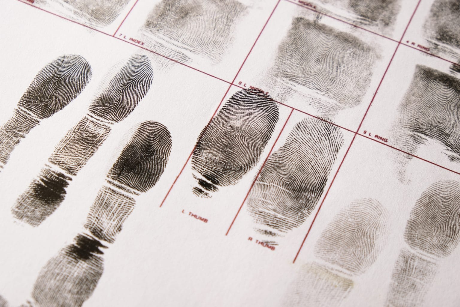 Multi-Gallery ABIS for Accurate Civil and Criminal Identification in Brazil