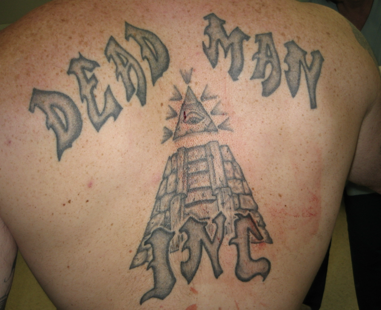 Scars, Marks & Tattoos in Criminal ABIS: A Gamechanger for Law ...