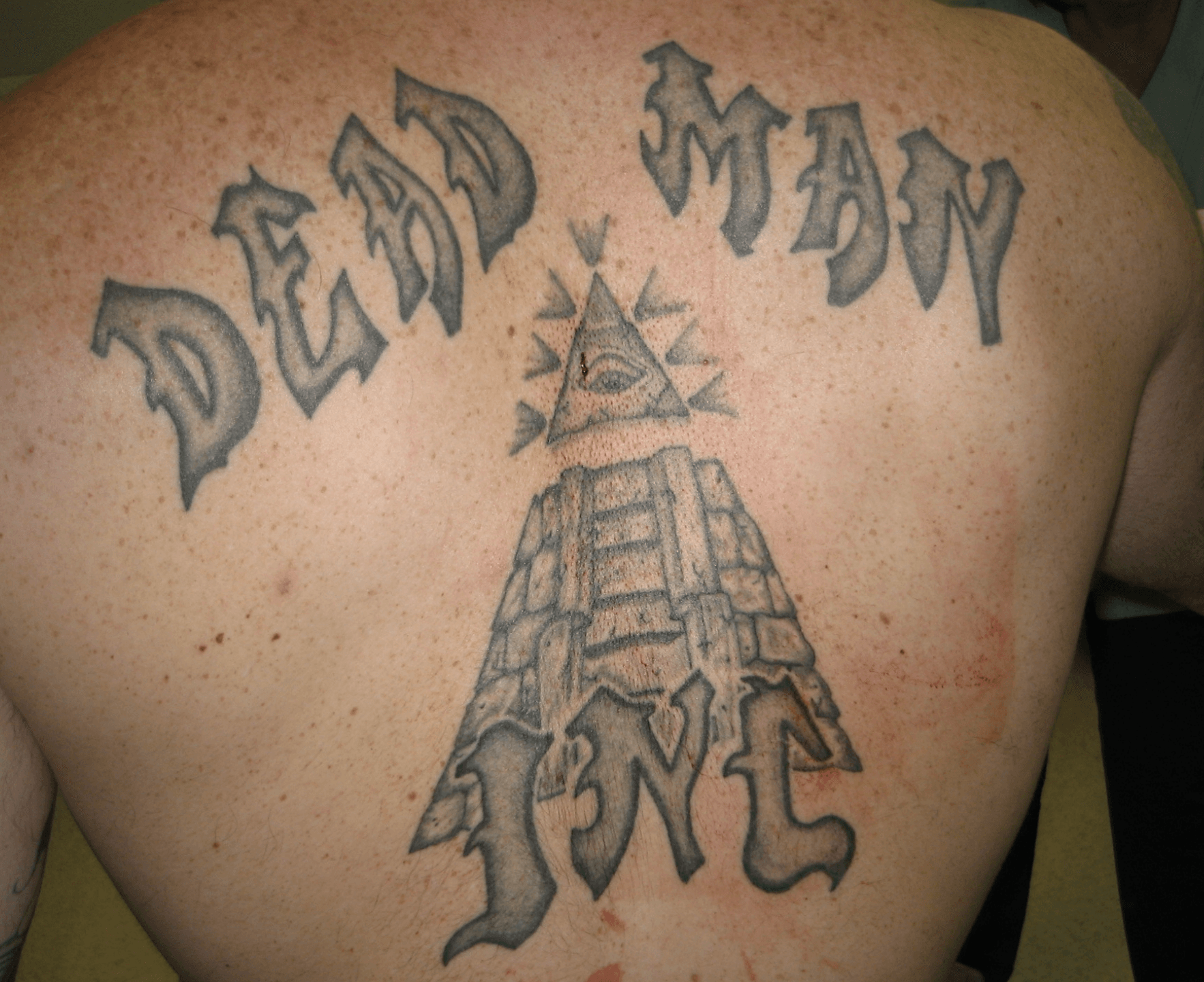 Scars, Marks & Tattoos in Criminal ABIS: A Gamechanger for Law ...